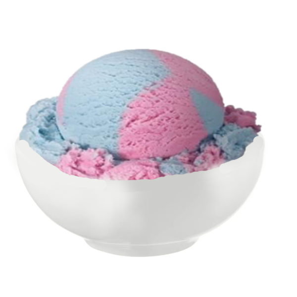 HP Hood Ice Cream – Dingman's Dairy